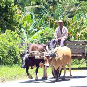 Dealing with Jineteros | Issues while traveling in Cuba