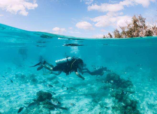 Cuba Travel Company & Cuba DMC | Cuban Adventures